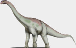 Dinosaurios de Argentina: Dinosaurios de Chubut