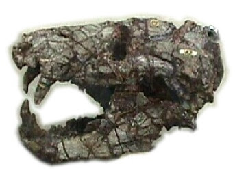 Dinosaurios de Argentina: Valle de la Luna / Ischigualasto