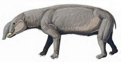 Dinosaurios de Argentina: Dinosaurios de Santa Cruz