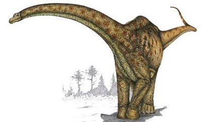 Dinosaurios de Argentina: Dinosaurios de Neuquén