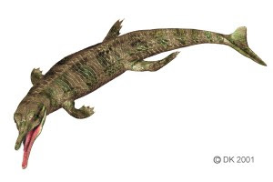 DINOSAURIOS gigantes de chile: Ornitopodos y cocodrilos chilenos