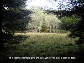 Outdoor Life Australia: A trip to Nundle