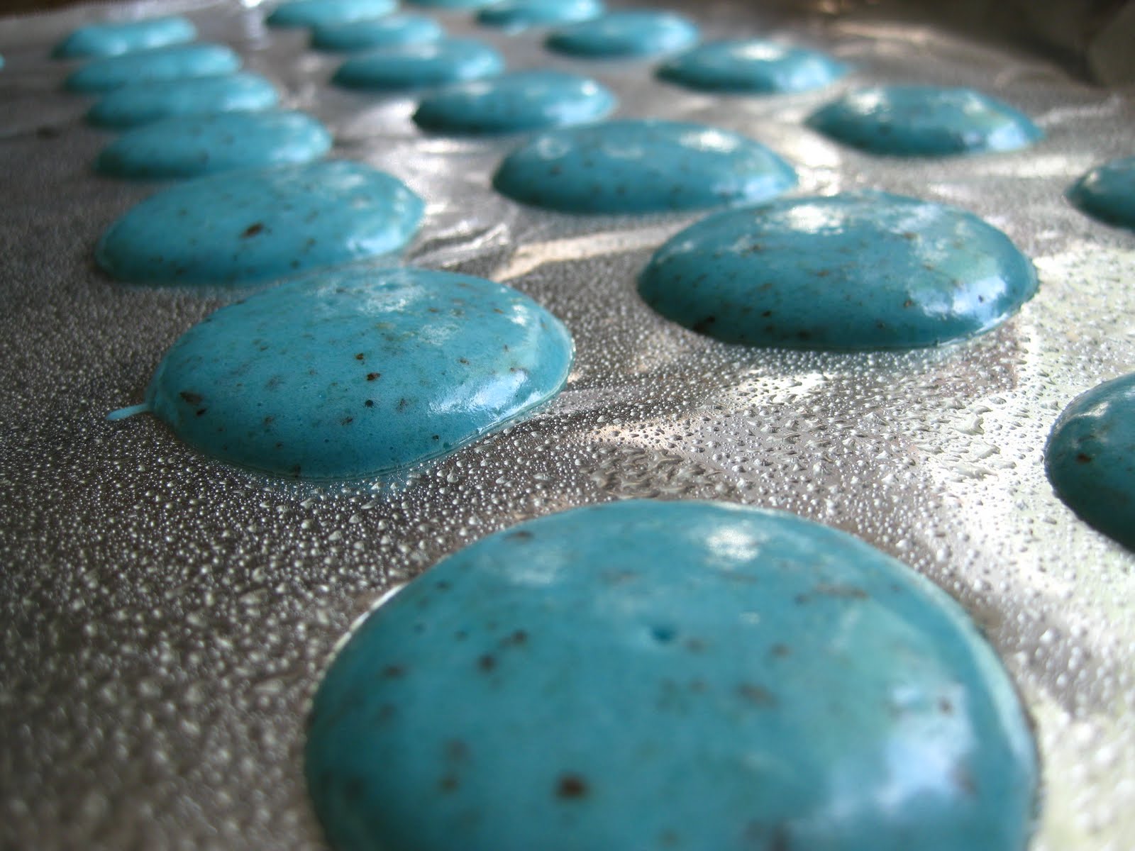 Domestic: Macaron fail