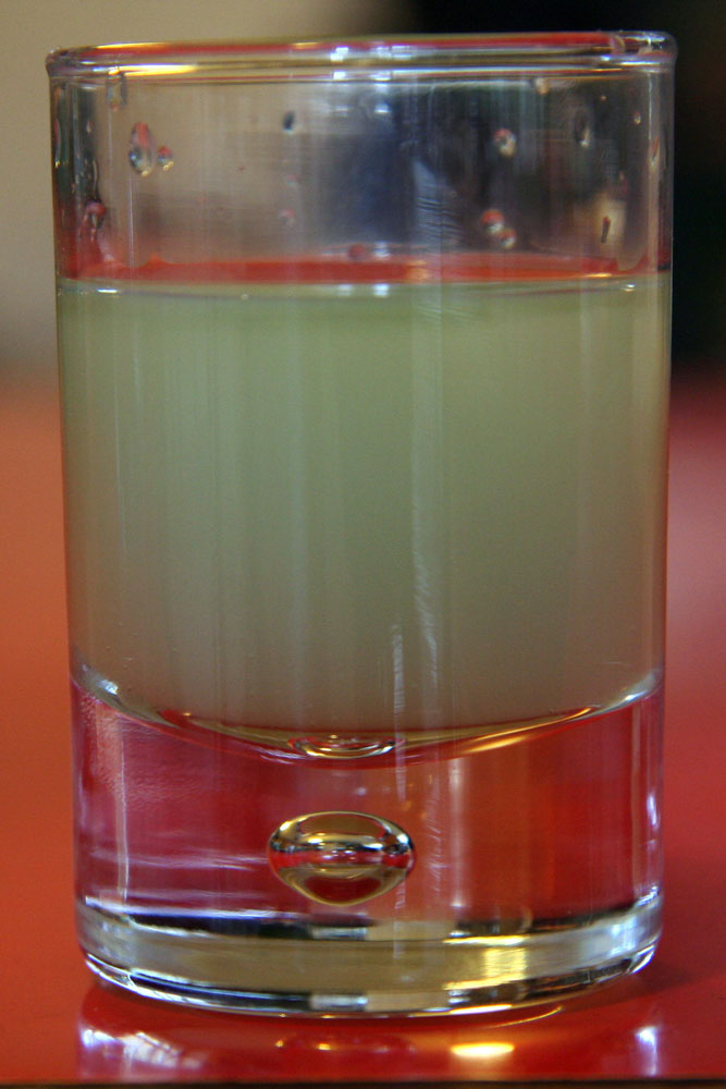 The Institute for Alcoholic Experimentation: Observations on the ...