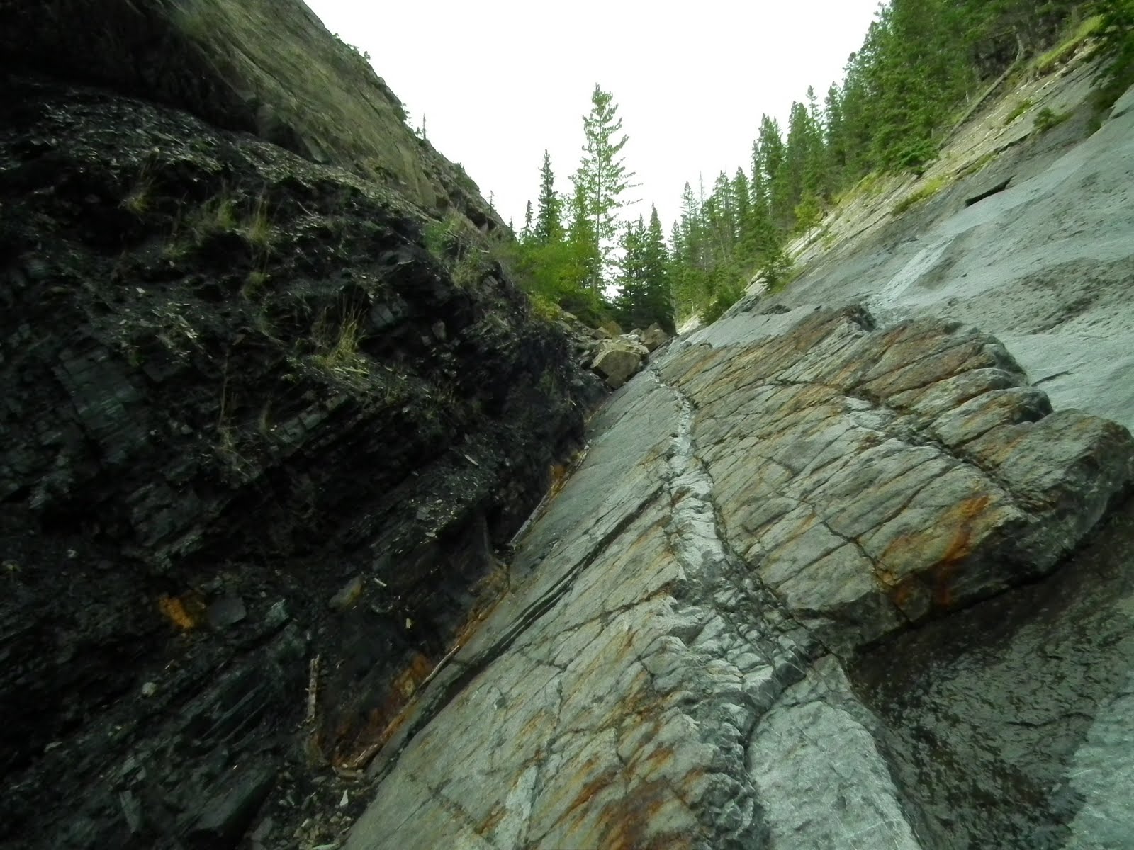 Happenings at Jello's House: To the Exshaw Shales Outcrop