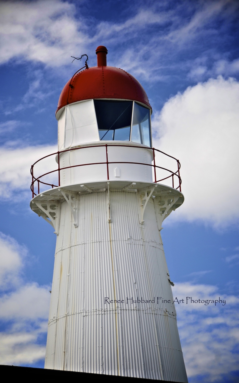 Extraordinary Light: Coastal Flora