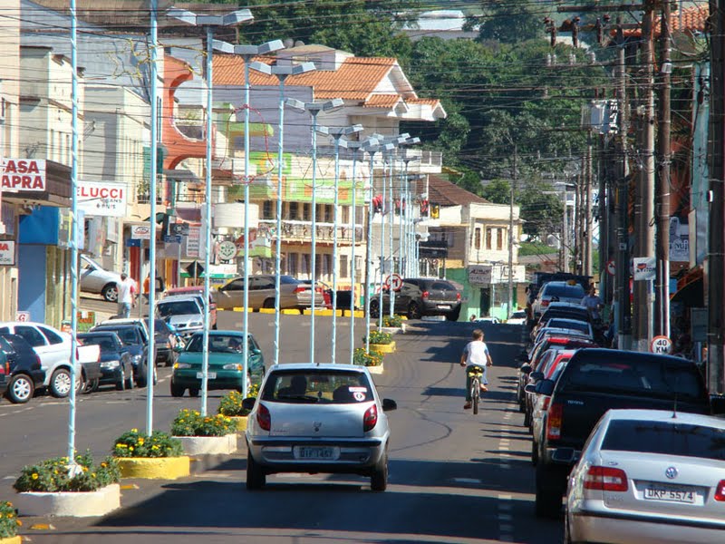 Familia Potrich: Informações da cidade de Palmitos