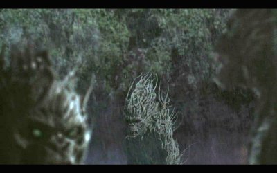 Cinemasochism: Lady In the Water