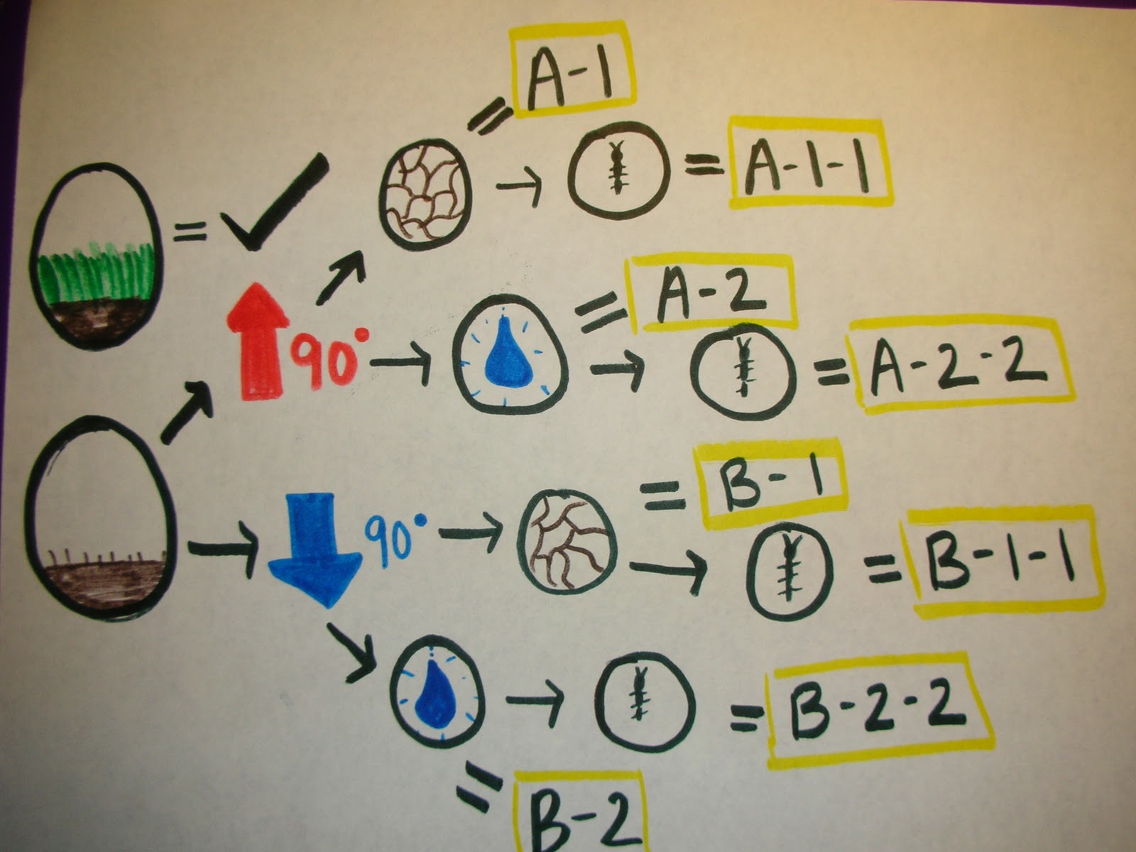 Samantha Ciaccia ~ Visual Comm.: October 2010