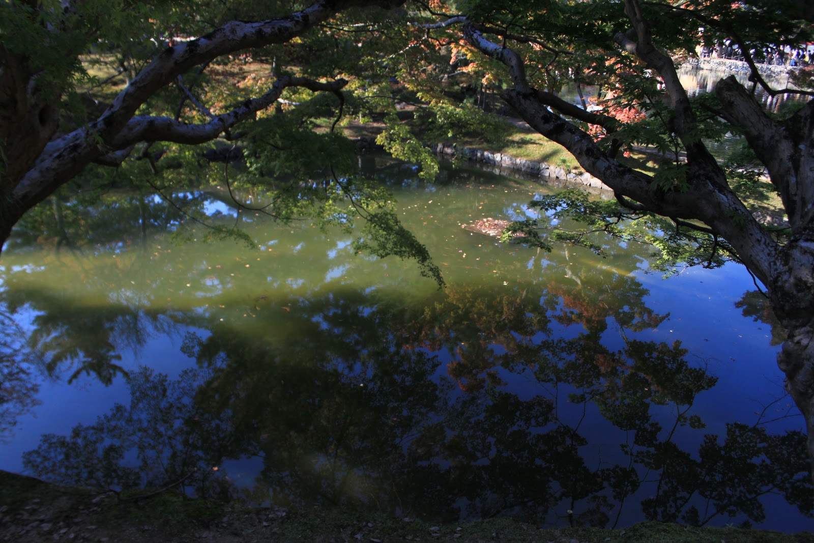 Tones of Japan: The Inspiring Nara