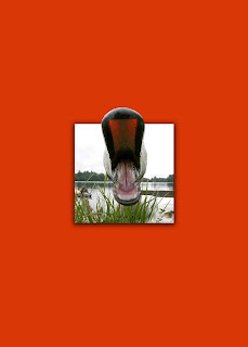 MHS Digital Photography - Carly Dillon