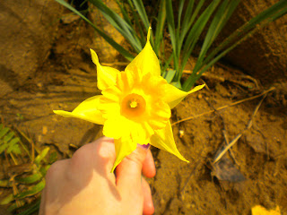 MHS Digital Photography - Carly Dillon