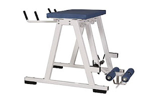 Westside Barbell: Westside Barbell Reverse Hyper Line