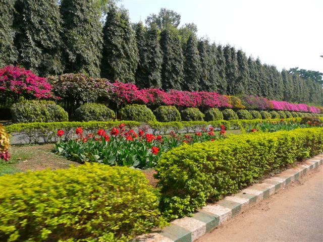 Lalbagh Botanical Gardens | The Family Travel Blog