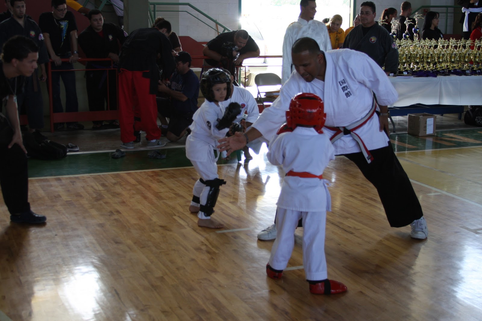 Okinawa Goju Karate - Puerto Rico: Sansei Goju - Torneo Puerto Rico 2010