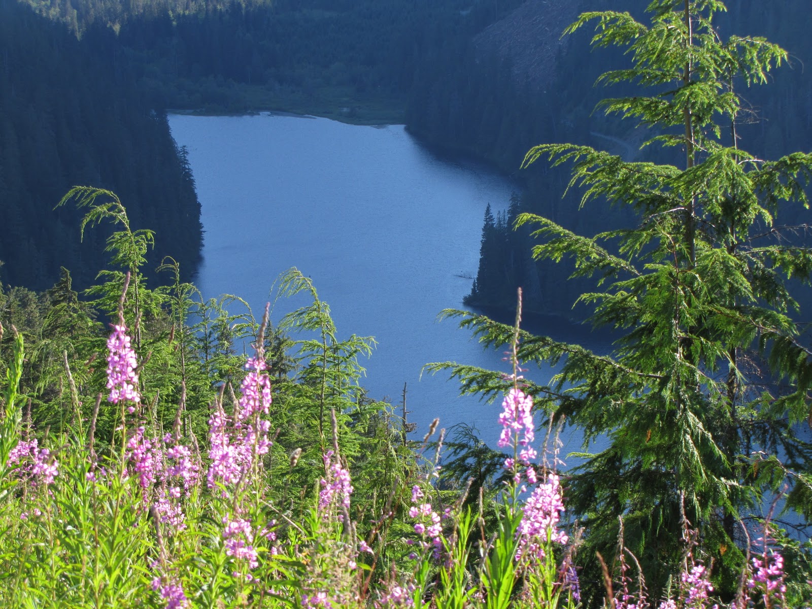 Vancouver Island Lake Adventures: Stewart Lake