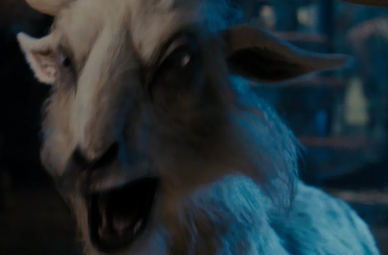 Drag Me To Hell Goat