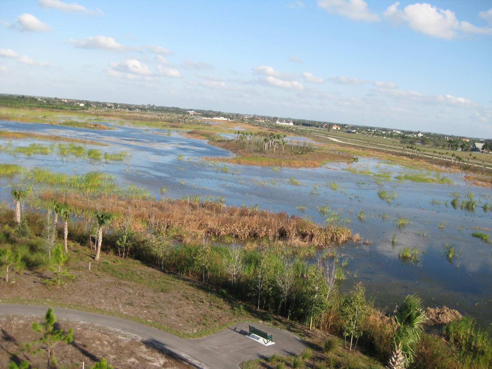 All The Latest Dirt: Wellington, Florida Environmental Preserve