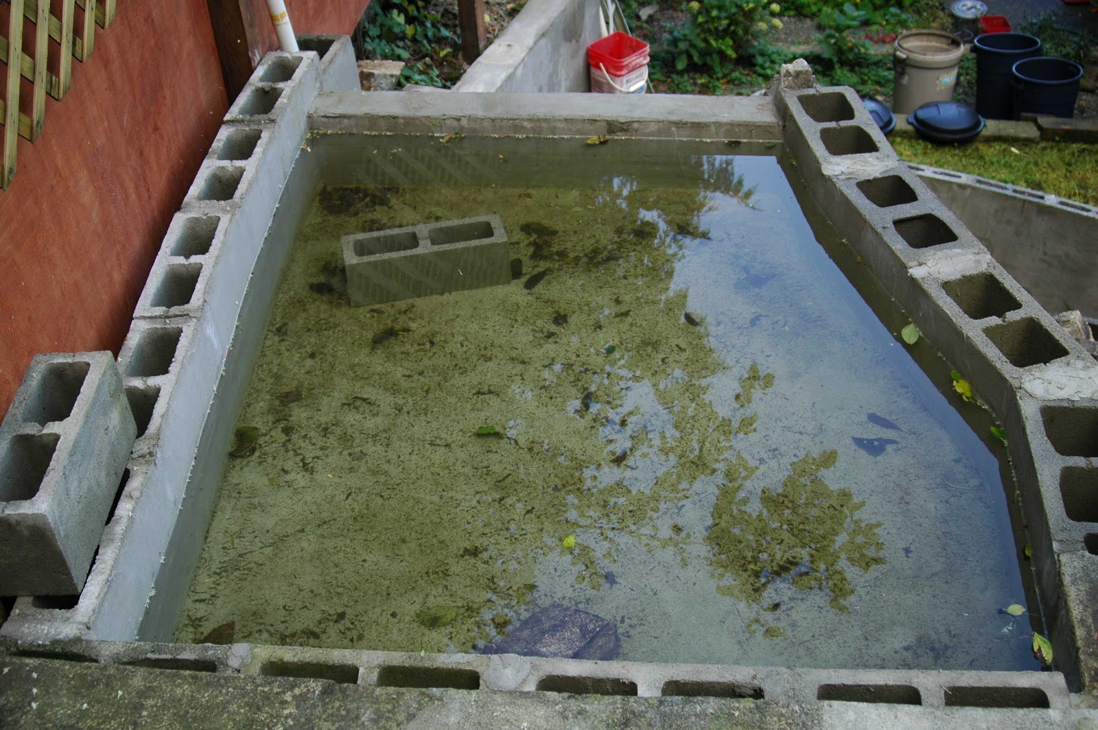 Small Concrete Pond: Building Pond from ground up