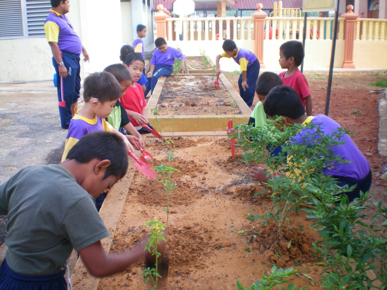 Program Pendidikan Khas Integrasi SK Lereh: PROJEK KEBUN MINI