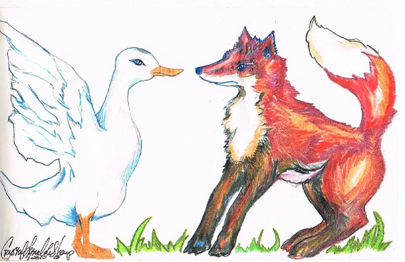 a fox a day: Fox and Goose