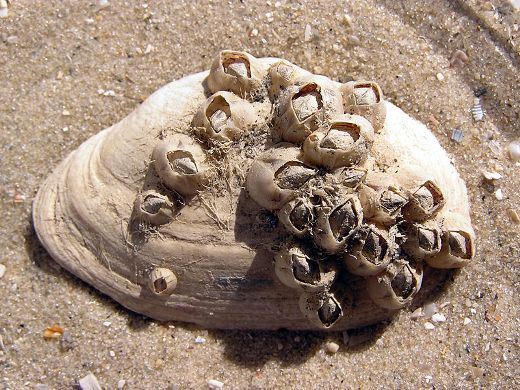 Good Point: Ethical Electronics, Recycling "e-Waste" Blog: E-Waste ...