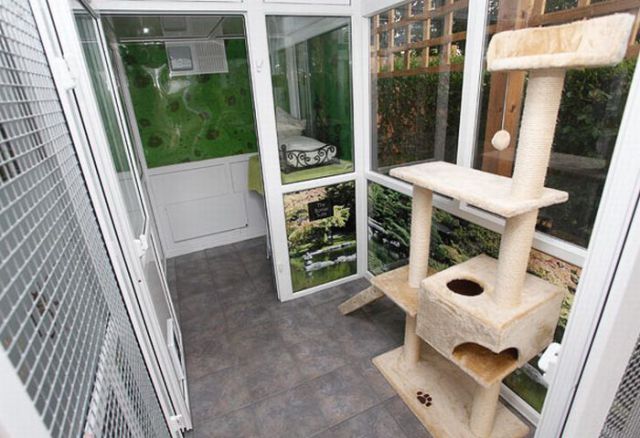 Beautiful is Happy: Hotel Untuk Kucing