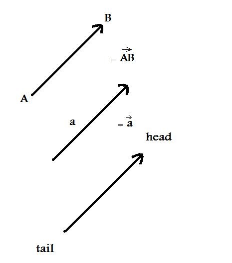 HOW TO DRAW A VECTOR | Science Decoder