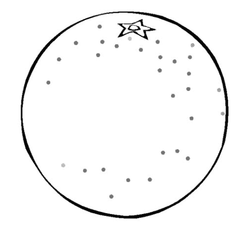 Stampa e colora: arancia