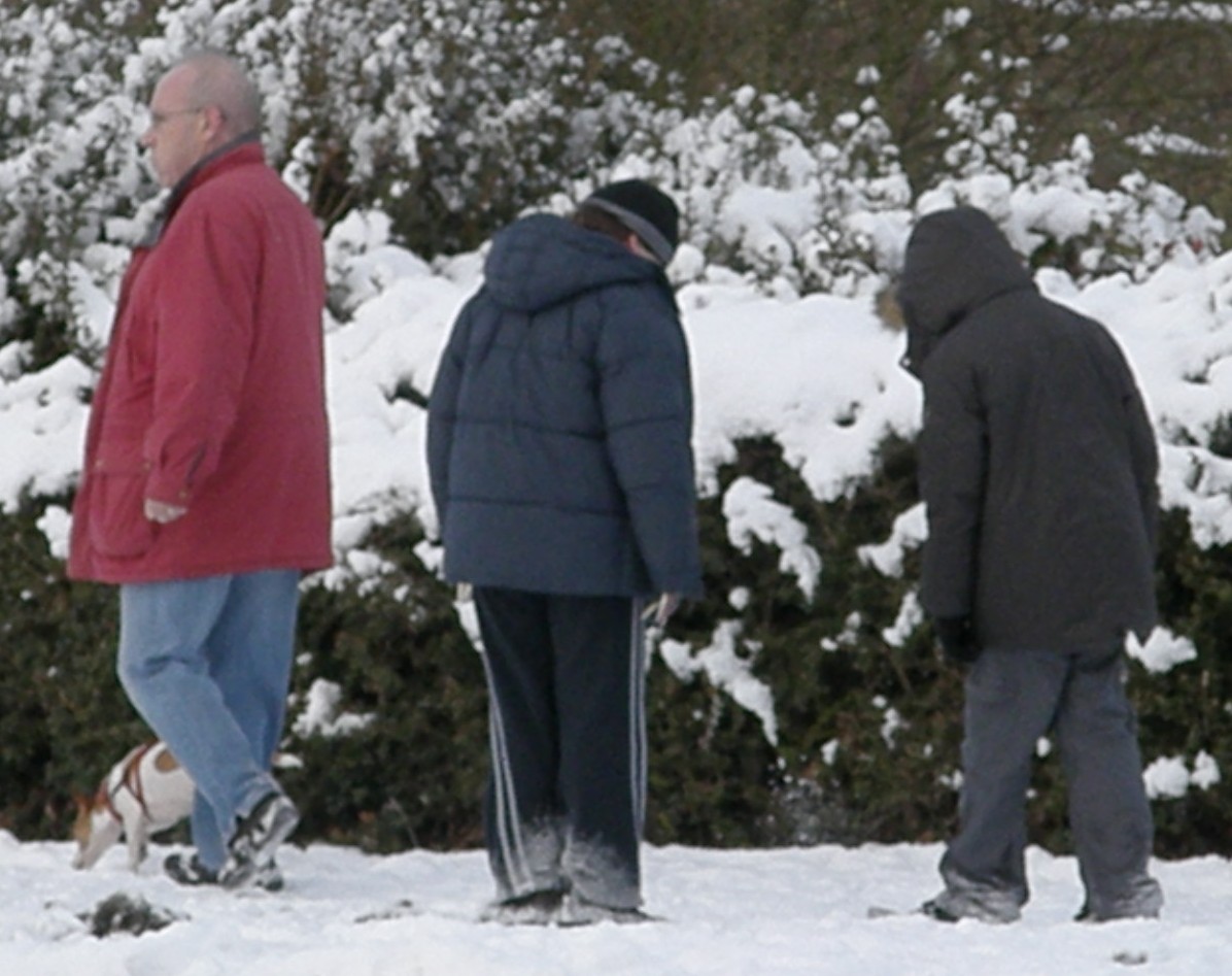 Sue's Family, Flowers and Fun Stuff: March 2010