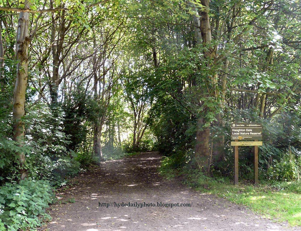 Hyde Daily Photo Volume 1 (2006 - 2011): Haughton Dale Nature Reserve