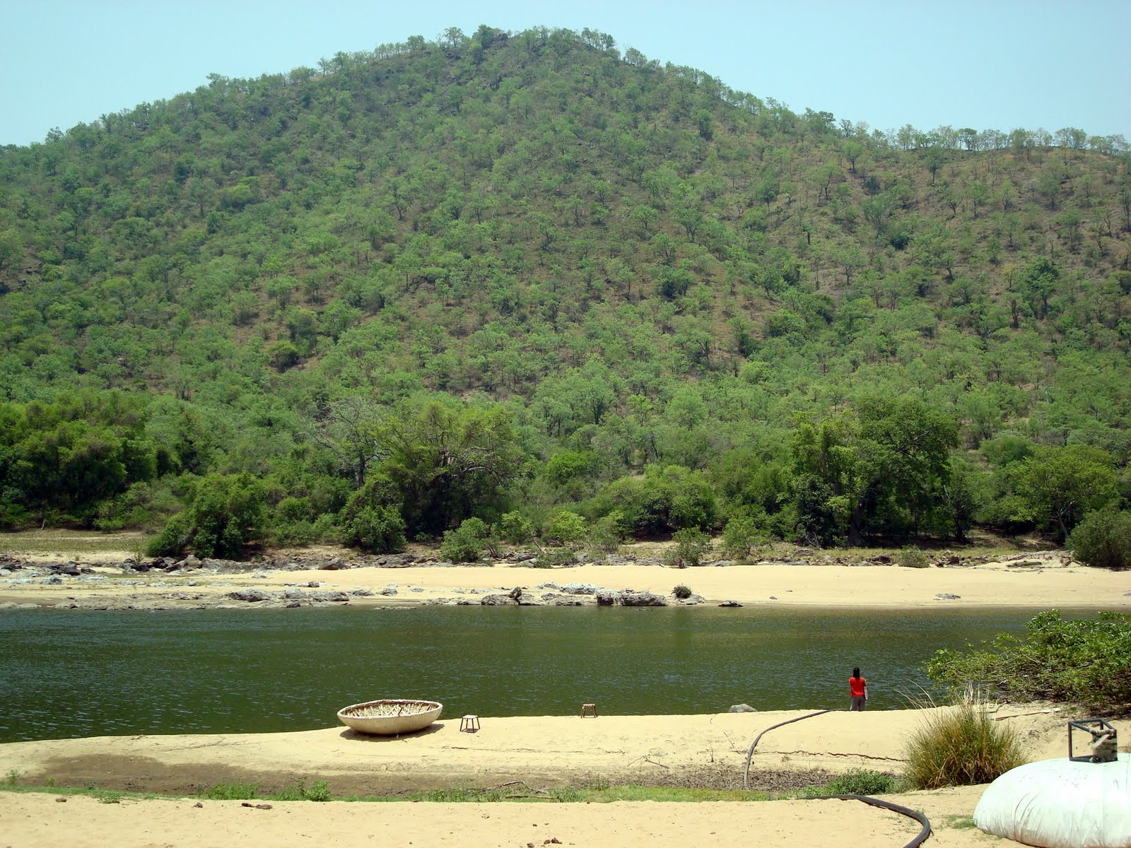 The wild Karnataka - Galibore - Lakshmi Sharath