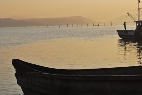Goa - A morning on the Zuari river - Lakshmi Sharath