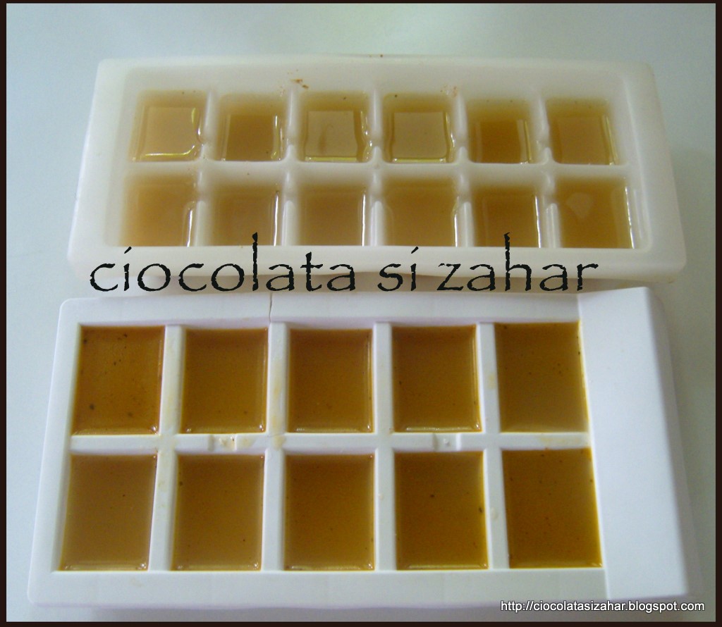 carnetul de retete...: Sfaturi practice - Cuburi concentrate cu aroma ...