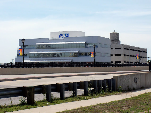 Oh the Urbanity I Sea!: PeTA