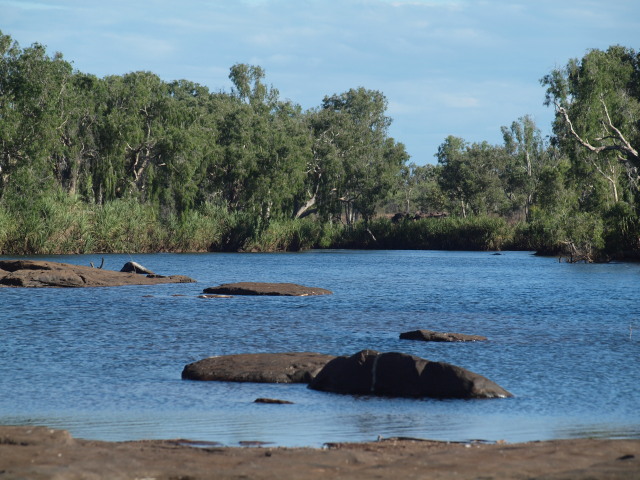 Newsomes' Dash: 3 Sep 10 - King Edward River