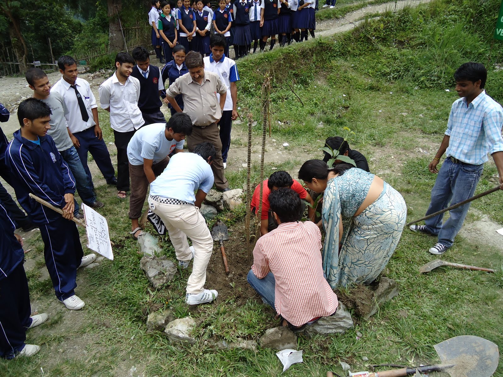 Society For Harmonious Development: Plantation Program organized by ...