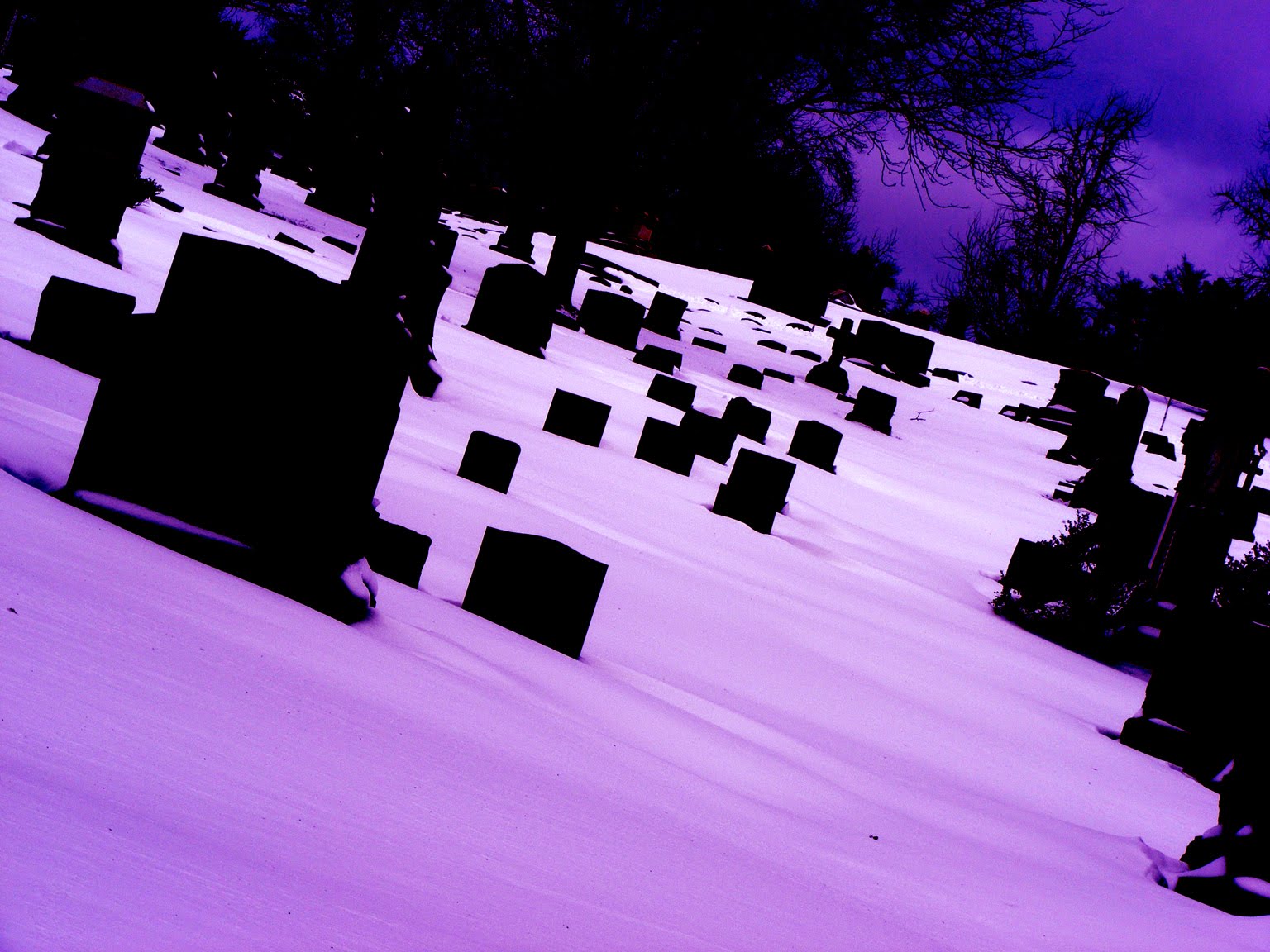 CrispEaterz' Stuff: Purple and Pink Graveyard