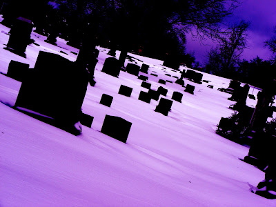 CrispEaterz' Stuff: Purple and Pink Graveyard