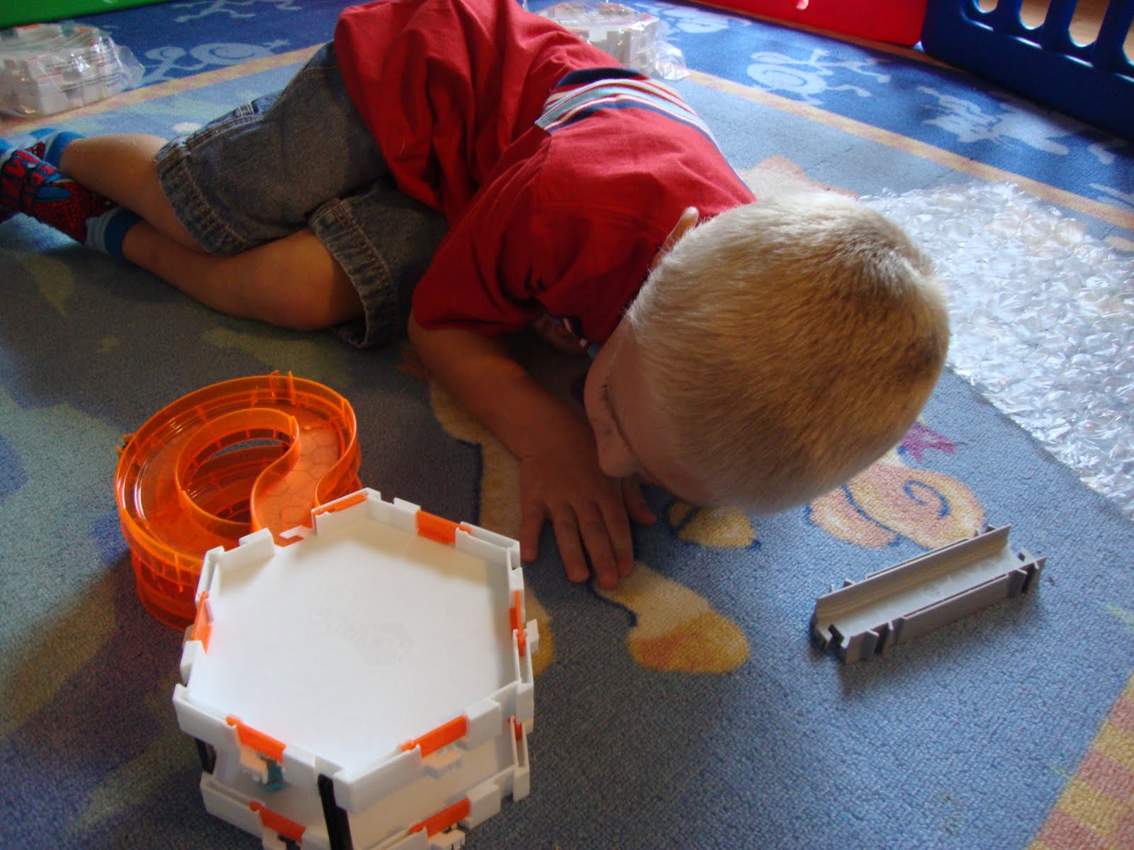 Look It's Megryansmom: Entomology 101-Hexbug Nano