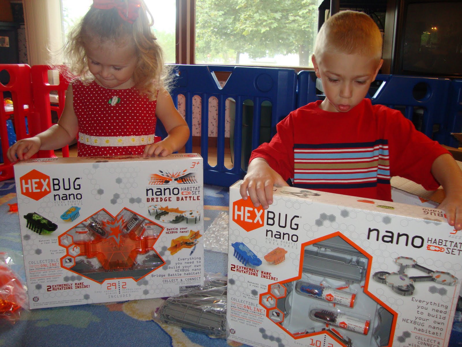 Look It's Megryansmom: Entomology 101-Hexbug Nano