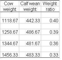 South Dakota Rancher Newsletter: Cow Size Efficiency