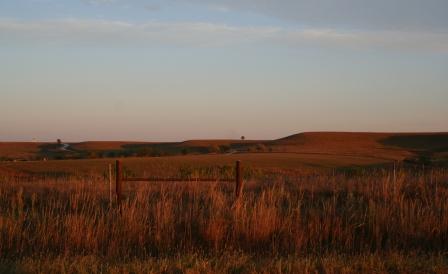 Garden Musings: Fall Color in the Flint Hills