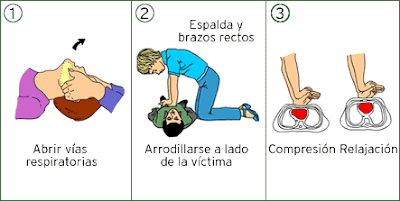 Equipo Verde: Primeros auxilios ABC