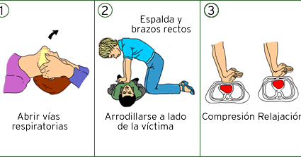 Equipo Verde: Primeros auxilios ABC