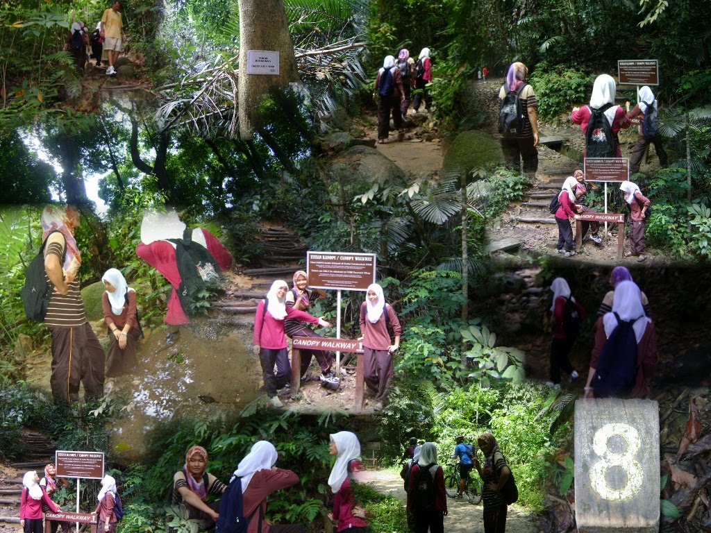 bocHa redaH Hutan - hutan gunung air terjon: hill + jungle dualthlon ...