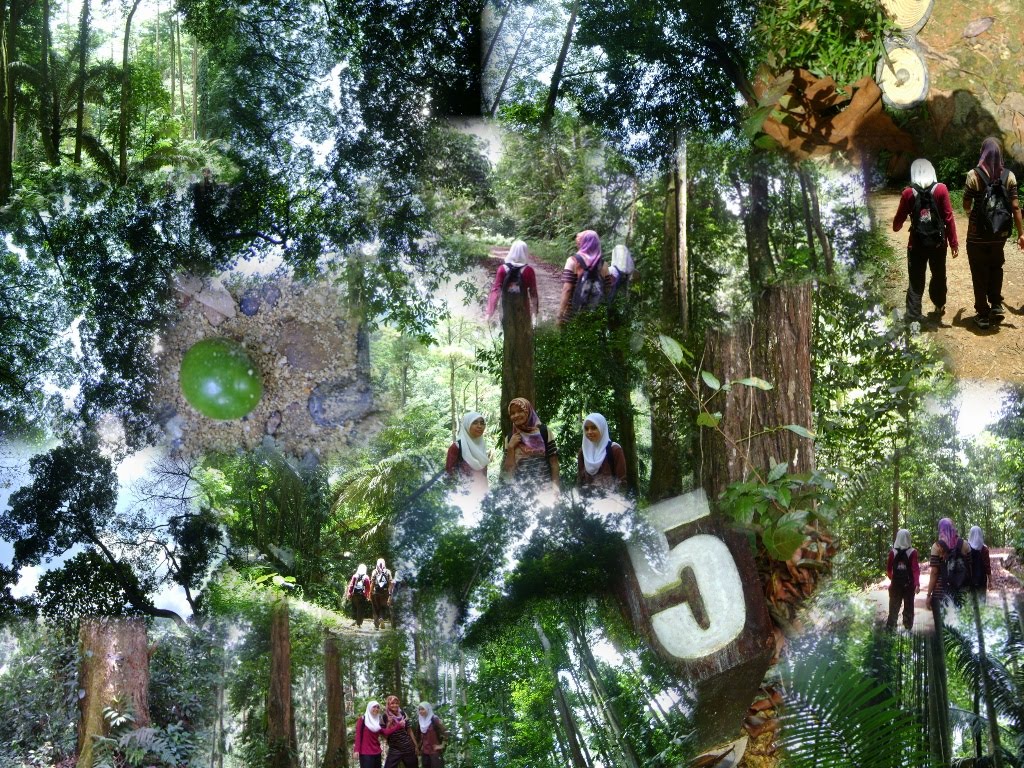 bocHa redaH Hutan - hutan gunung air terjon: hill + jungle dualthlon ...