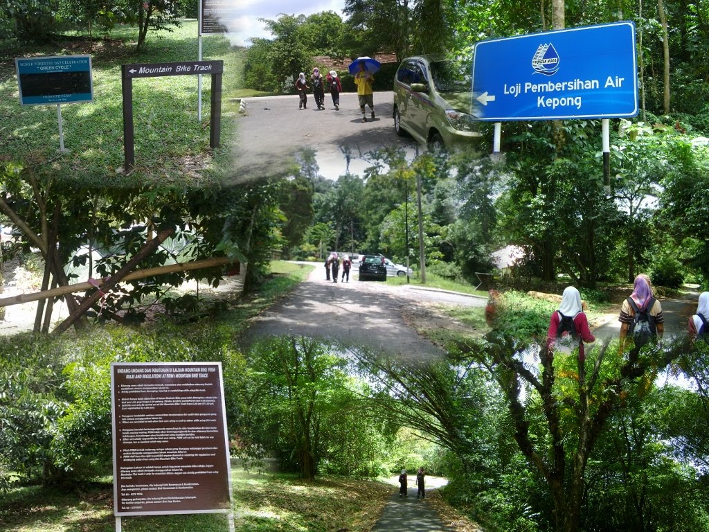 bocHa redaH Hutan - hutan gunung air terjon: hill + jungle dualthlon ...