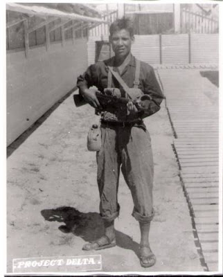 Project Delta and Mike Forces Republic of Vietnam: 5TH Special Forces ...