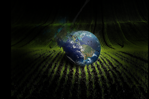 mitisor poienaru ...: earth photo manipulation